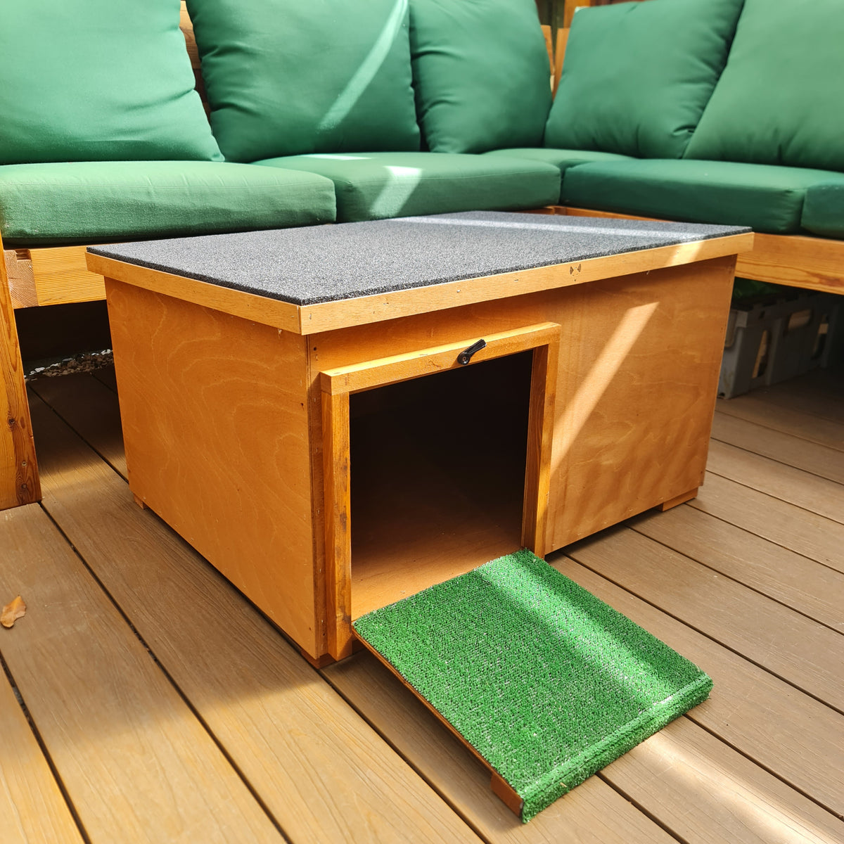 Giant Tortoise House – Dingo
